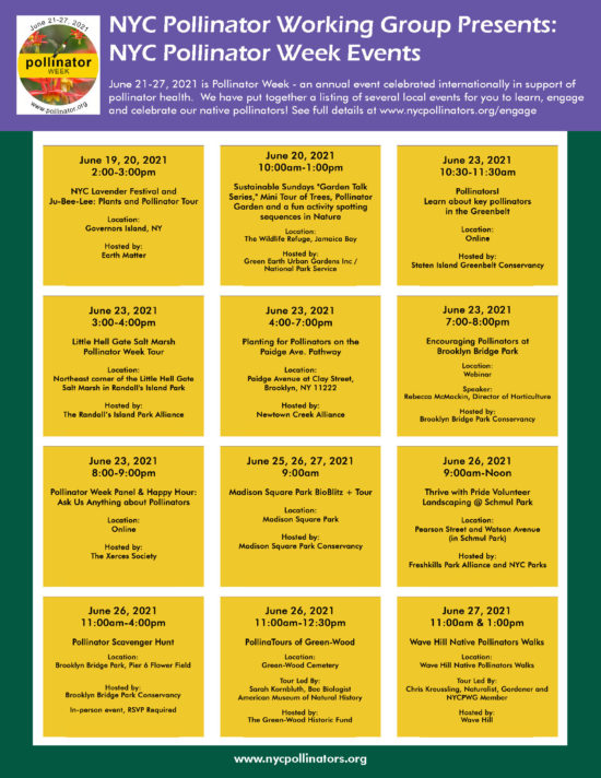 2021 Pollinator Week Events in NYC - NYC Pollinator Working Group