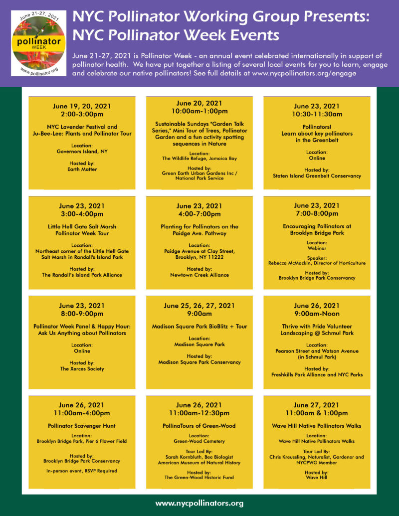 2021 Pollinator Week Events in NYC - NYC Pollinator Working Group