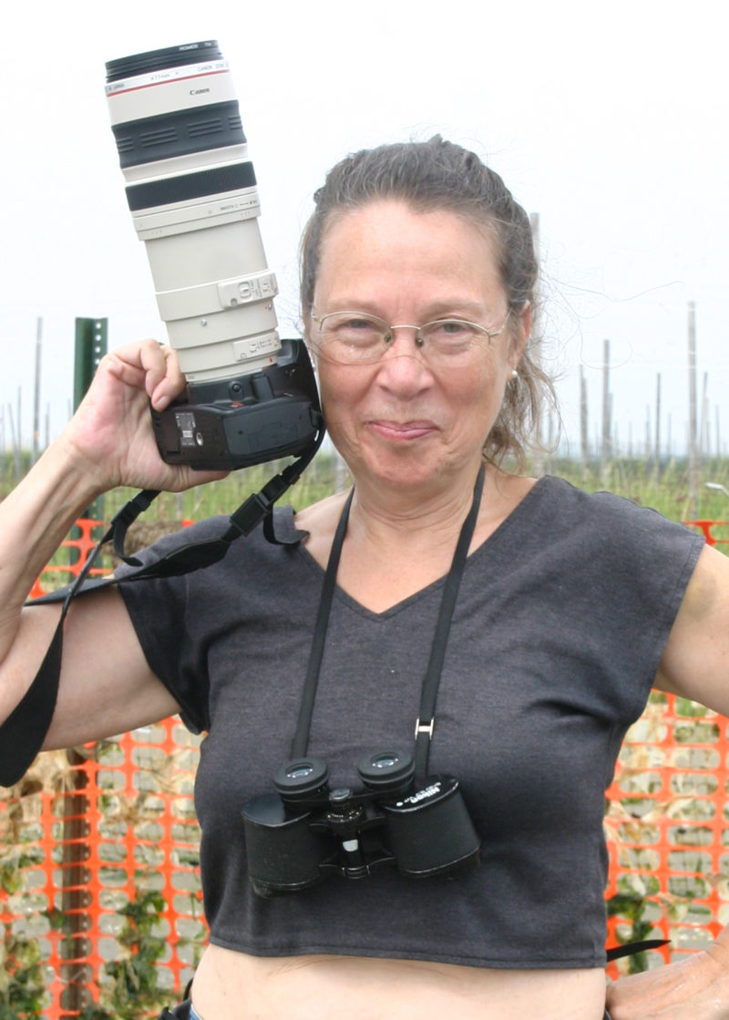 Celebrating Cindy Goulder - NYC Pollinator Working Group