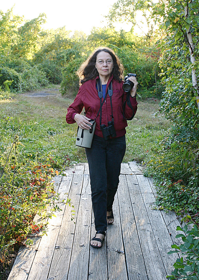 Celebrating Cindy Goulder – NYC Pollinators